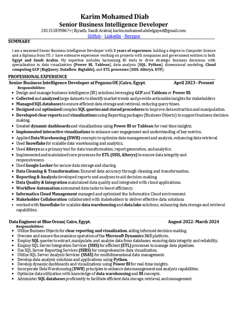 Senior BI Developer Profile and Expertise | PDF | Data Warehouse | Business Intelligence