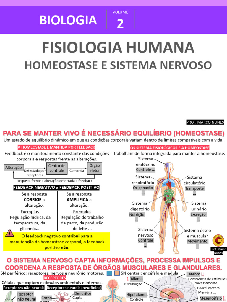 Homeostase e Sistema Nervoso | PDF | Nervo | Sistema nervoso autónomo