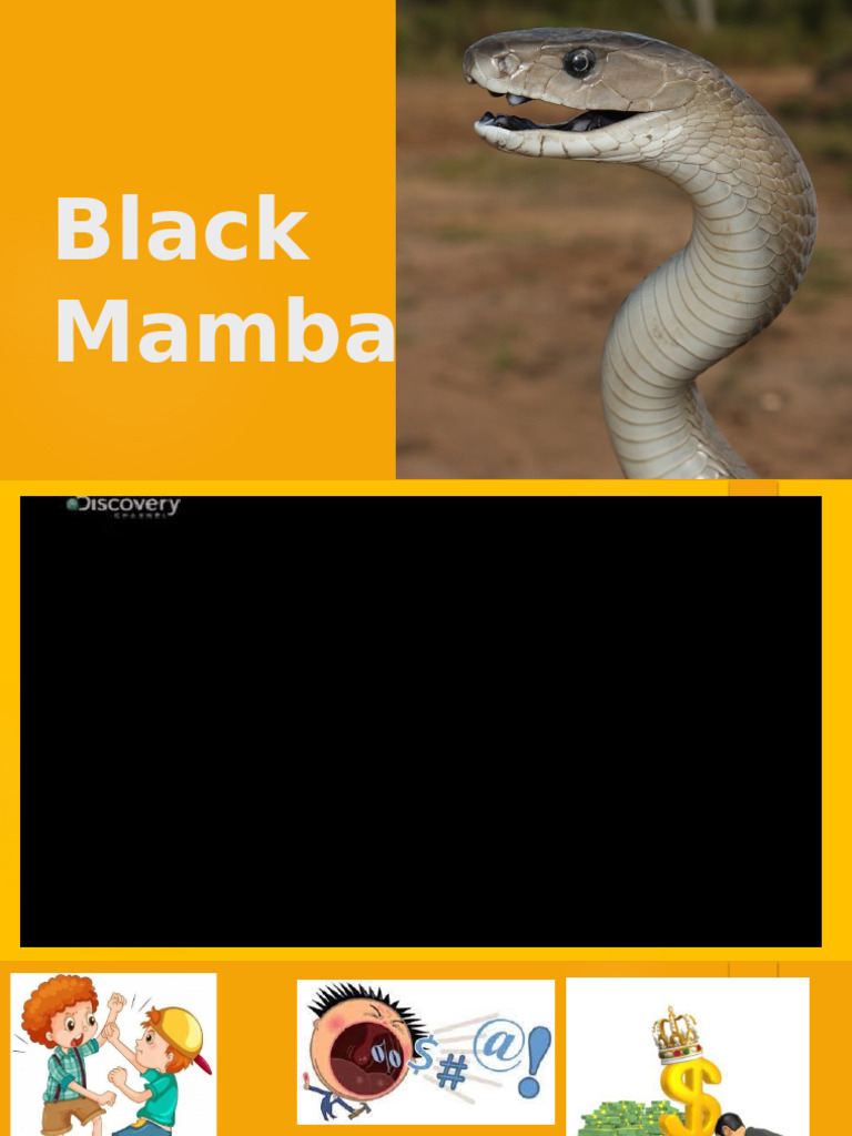 Black Mamba | PDF