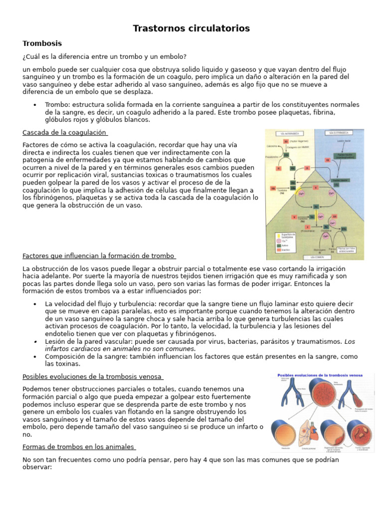 Diferencias entre trombos y émbolos | PDF | Trombosis | Inflamación