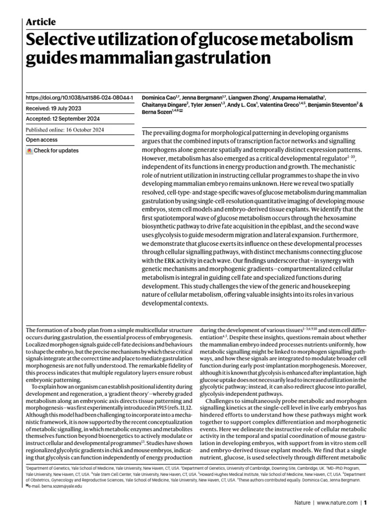 Selective Utilization of Glucose Metabolism Guides Mammalian ...