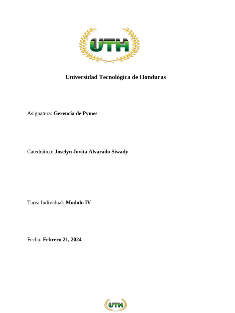 Tarea Modulo 4 | PDF | Pequeñas y medianas empresas | Business