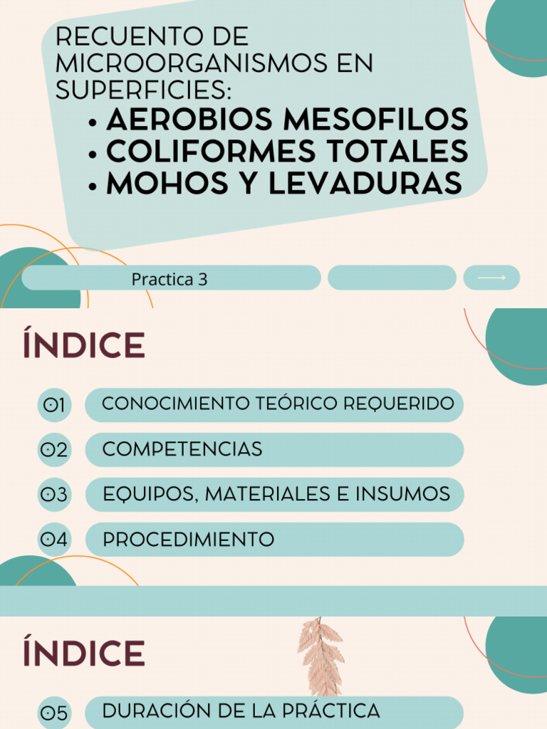 Practica 3 - Sanidad e Higiene | PDF Practica 3 - Sanidad e Higiene | PDF
