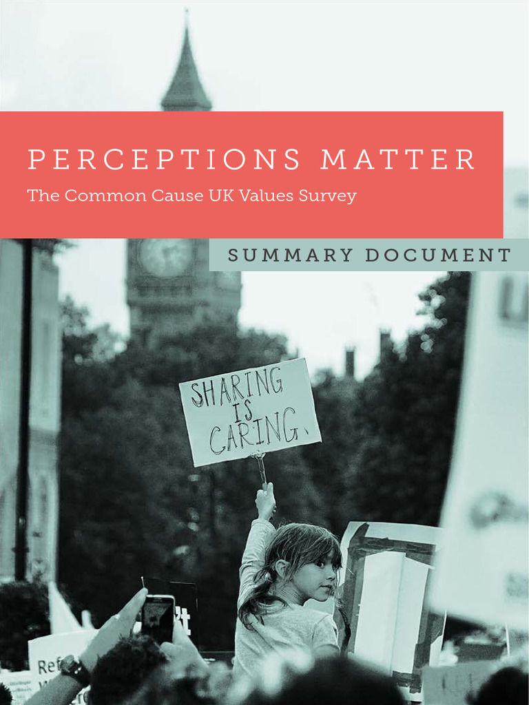 CCF Survey Perceptions Matter Summary | PDF | Social Psychology | Psychology