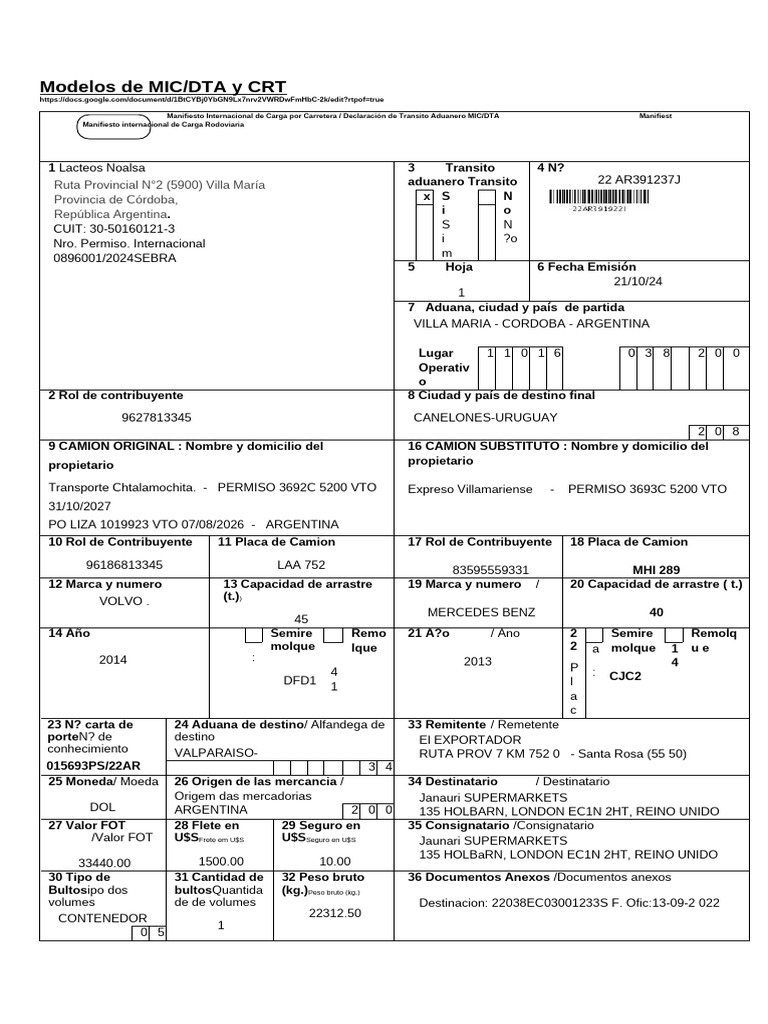 Borrador Modelo de CRT INTERNACIONAL EJEMPLO PARA COMPLETAR | PDF