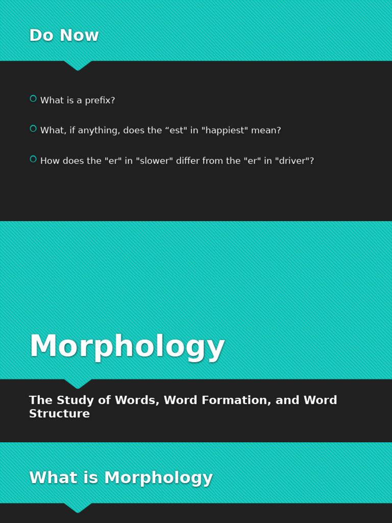 Morphology Intro | PDF | Morphology (Linguistics) | Word