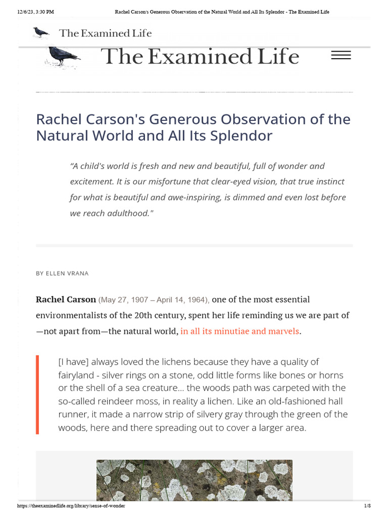Rachel Carson's Generous Observation of The Natural World and All Its ...