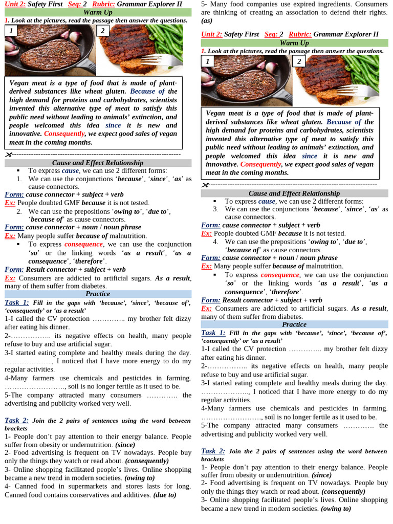 Ammar Explorer II Worksheet | PDF | Meat | Verb