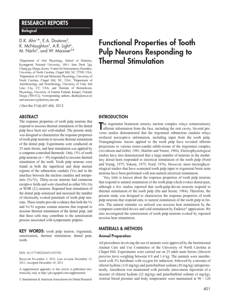Thermal Stimulation Tooth | PDF | Neuroscience