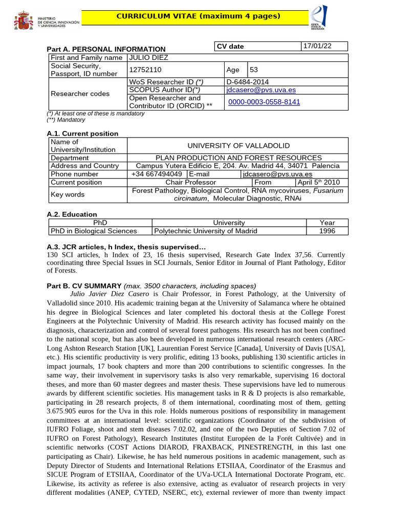 Jjdiez CV | PDF | Thesis