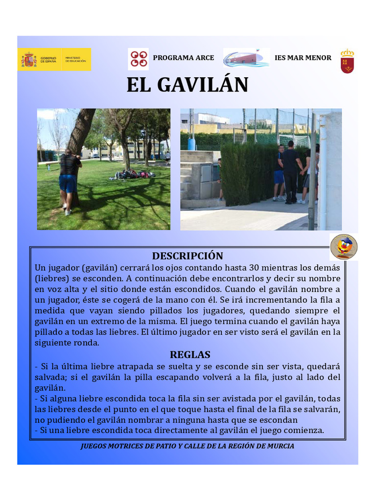 Juego del Gavilan: Reglas y Descripción | PDF