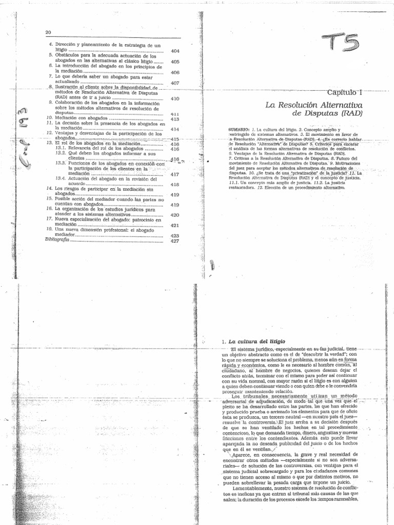 ÁLVAREZ, Gladys - Resolución Alternativa de Disputas RAD (Cap I) | PDF