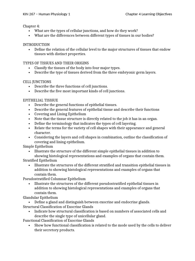 KIN 267 Chapter 4 Objectives | PDF | Connective Tissue | Epithelium