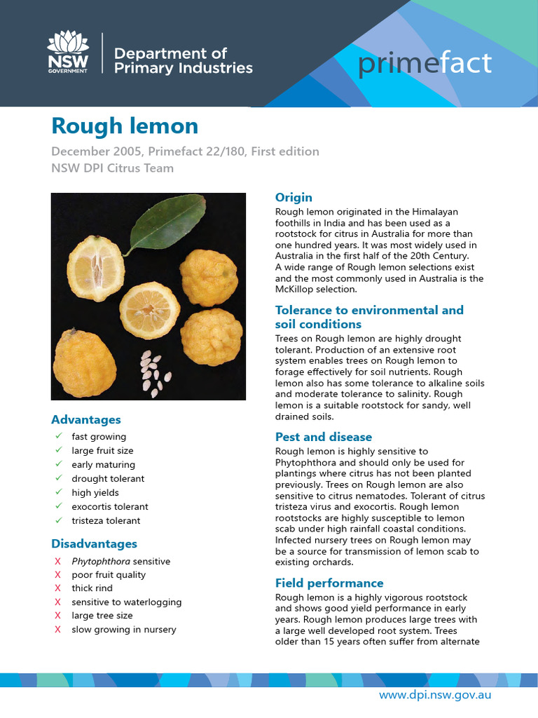 Rough-lemon | PDF | Citrus | Orange (Fruit)