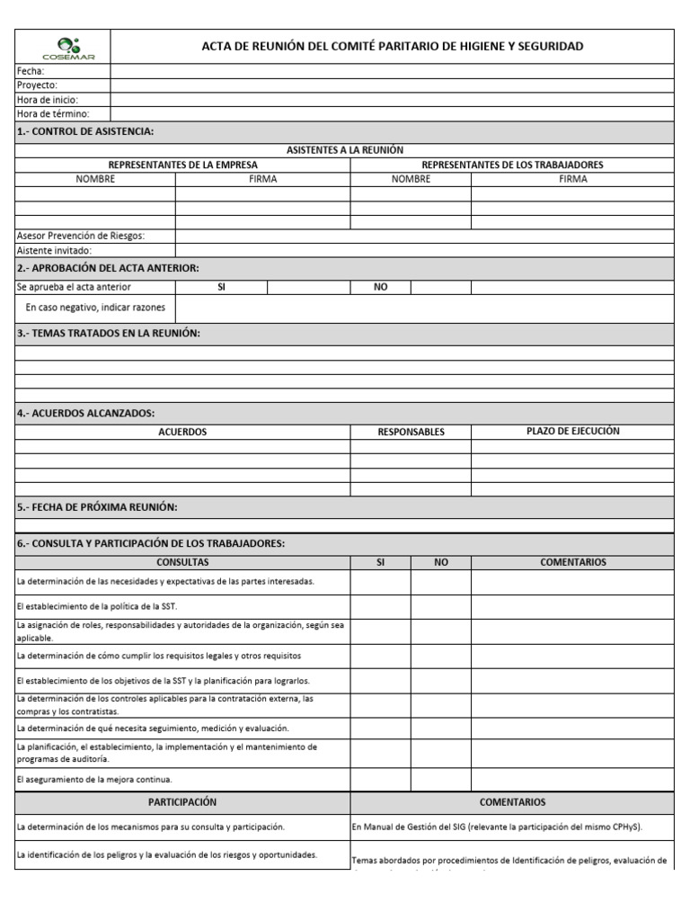 FOR-001 Formulario Acta CPHyS | PDF | Planificación | Evaluación