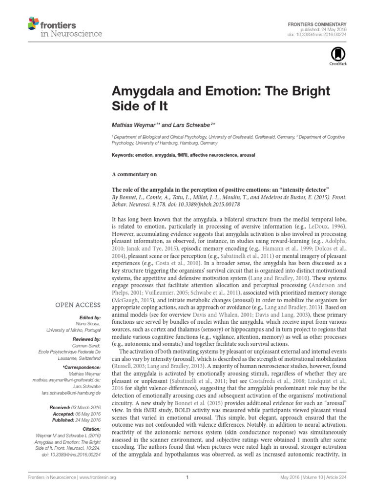 Amygdala and Emotion: The Bright Side of It | PDF | Amygdala | Reward ...