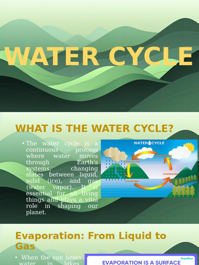 Water Cycle | PDF