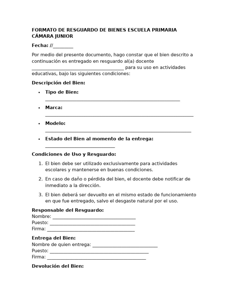 Formato de Resguardo de Bienes Escuela Primaria Cámara Junior | PDF ...
