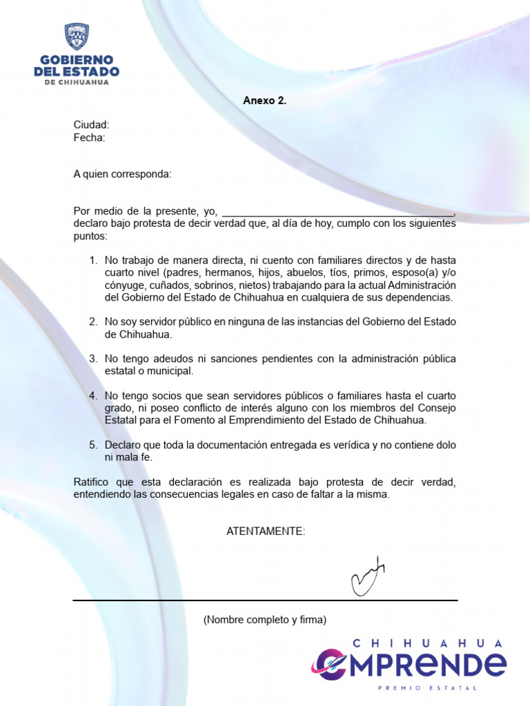 Carta Bajo Protesta de Decir Verdad (Anexo 2) | PDF
