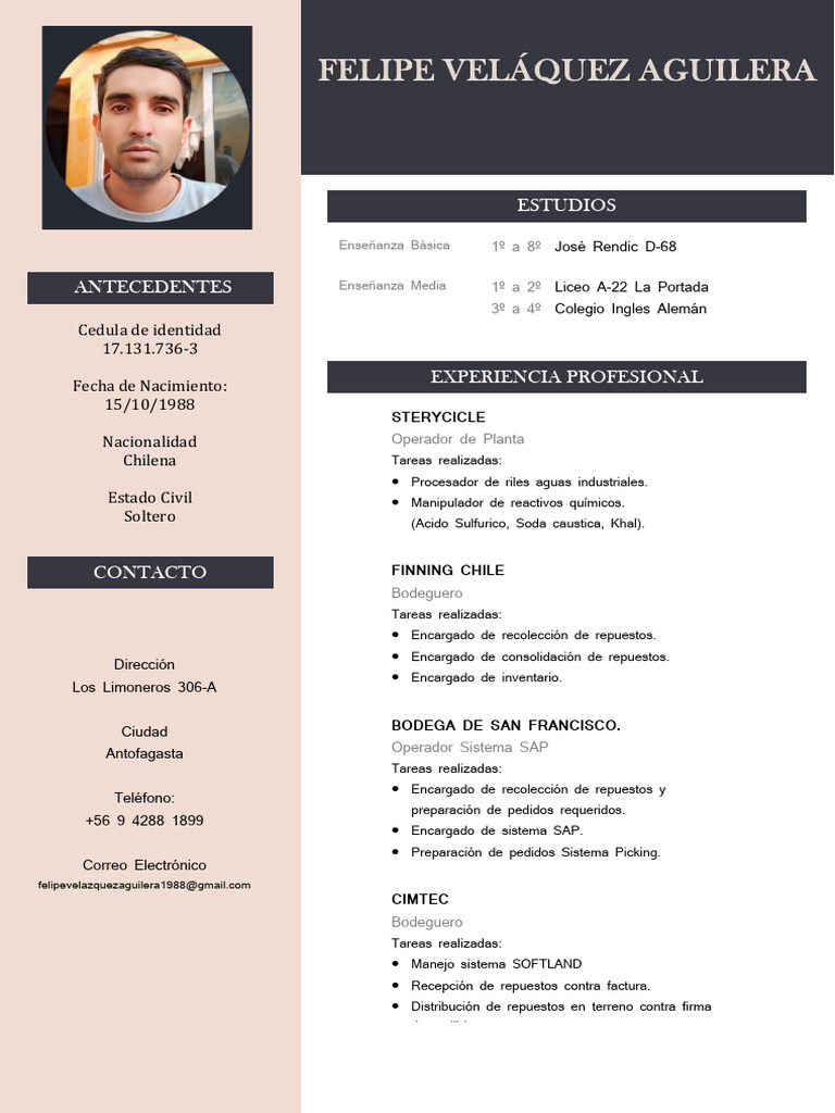 Curriculum pipe final final ultra | PDF