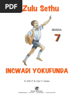 Izimpawu Zendaba Emfushane Grade 8 | PDF