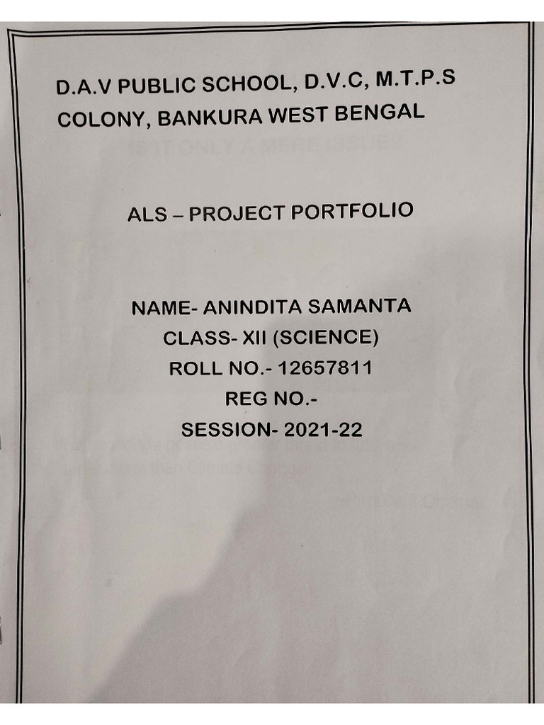 Eng Als Project Portfolio | PDF