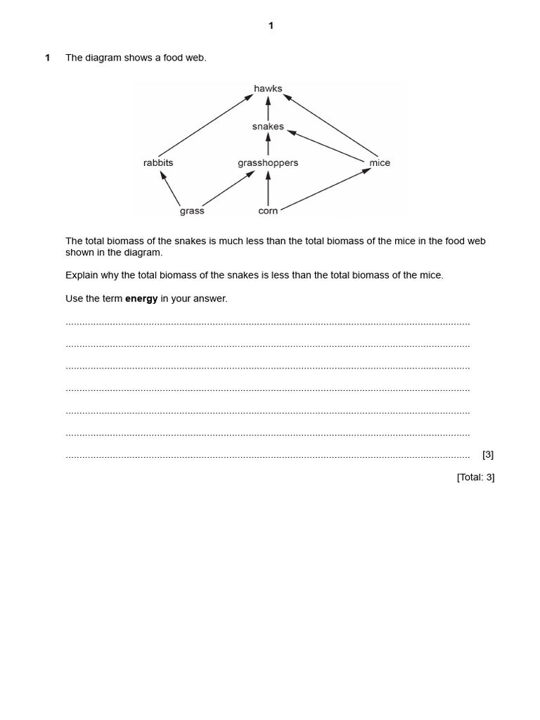 Food Chains and Foodwebs Worksheet | PDF | Food Web | Biomass (Ecology)