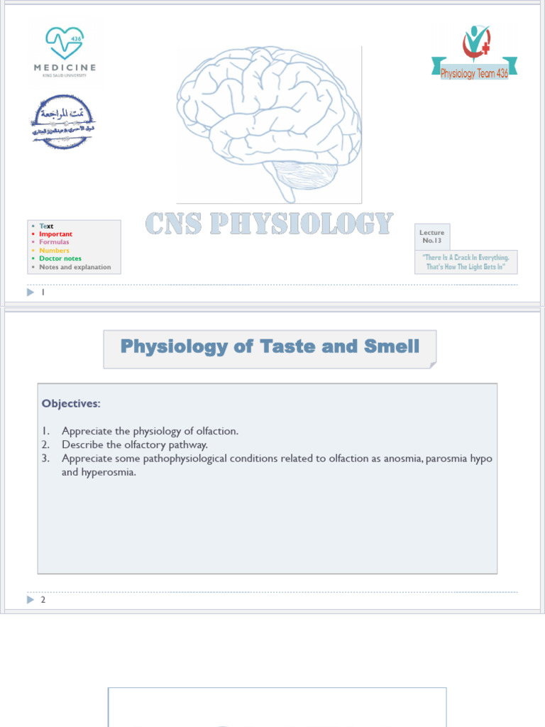 13- physiology of Taste and smell | PDF | Taste | Olfactory System