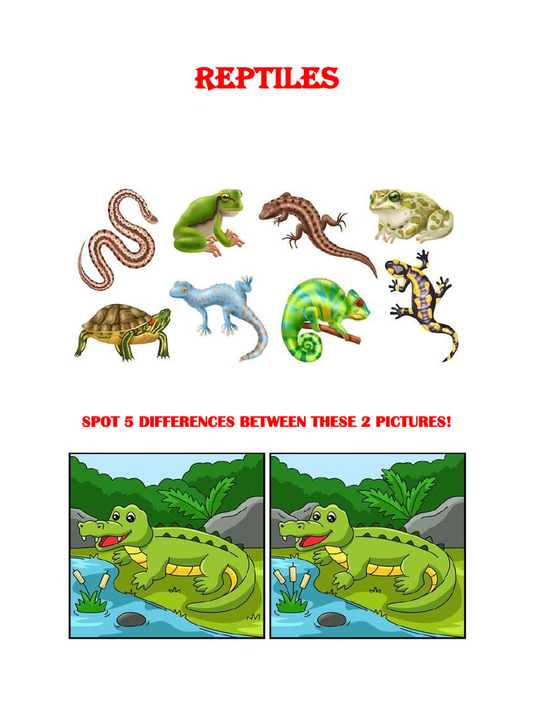 Tk Reptiles | PDF