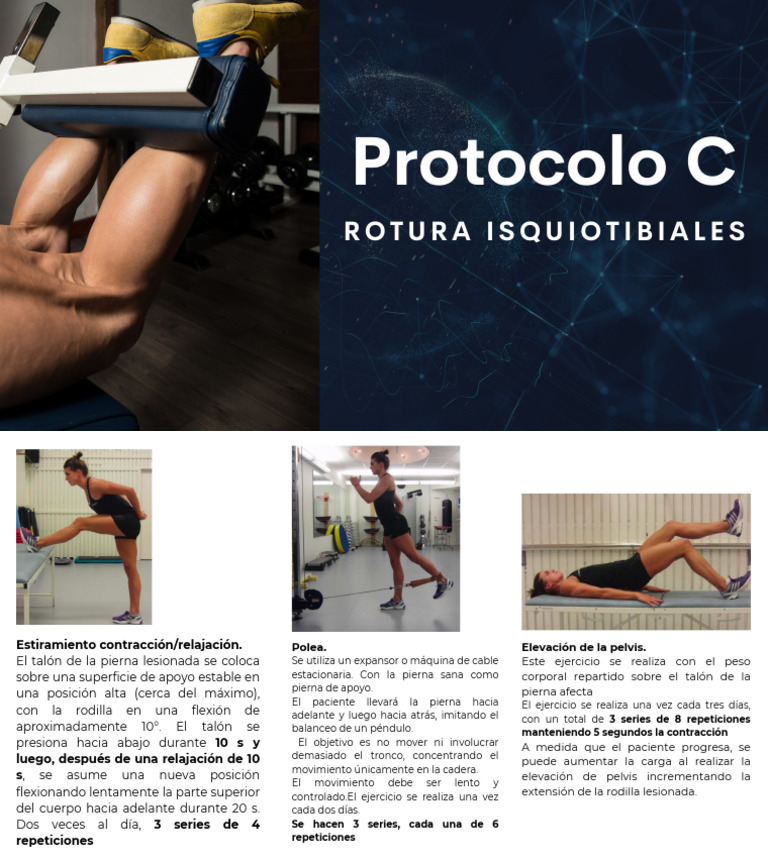 PROTOCOLO C | PDF
