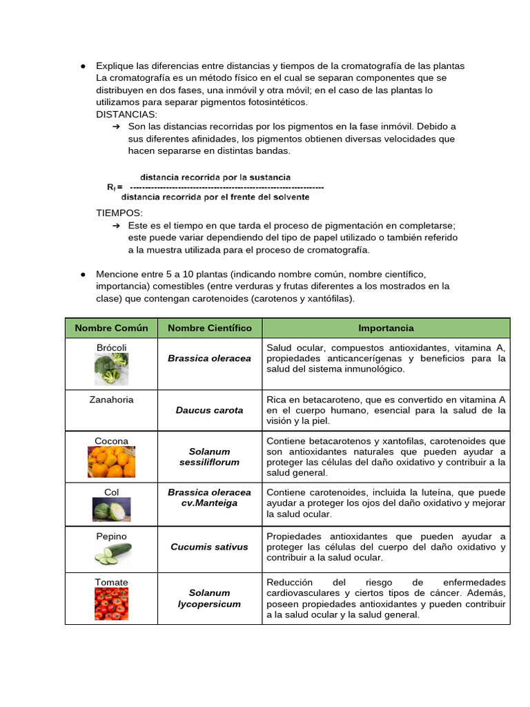 Cromatografia Sebas, Ejercicio N 3 | PDF | Carotenoide | Antioxidante