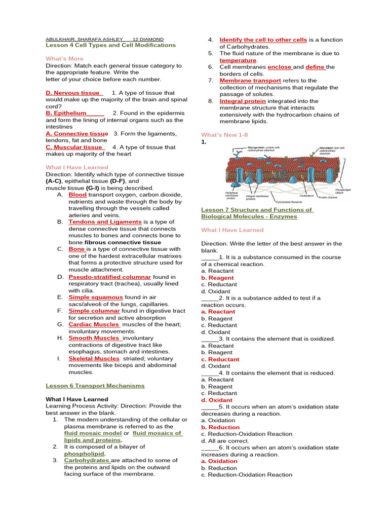 bio-answer key | PDF | Redox | Enzyme
