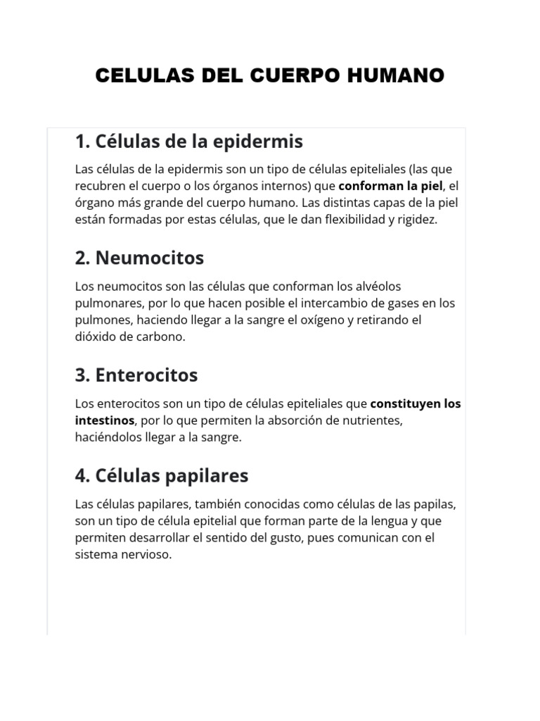 Celulas Del Cuerpo Humano | PDF | Leucocito | Sangre