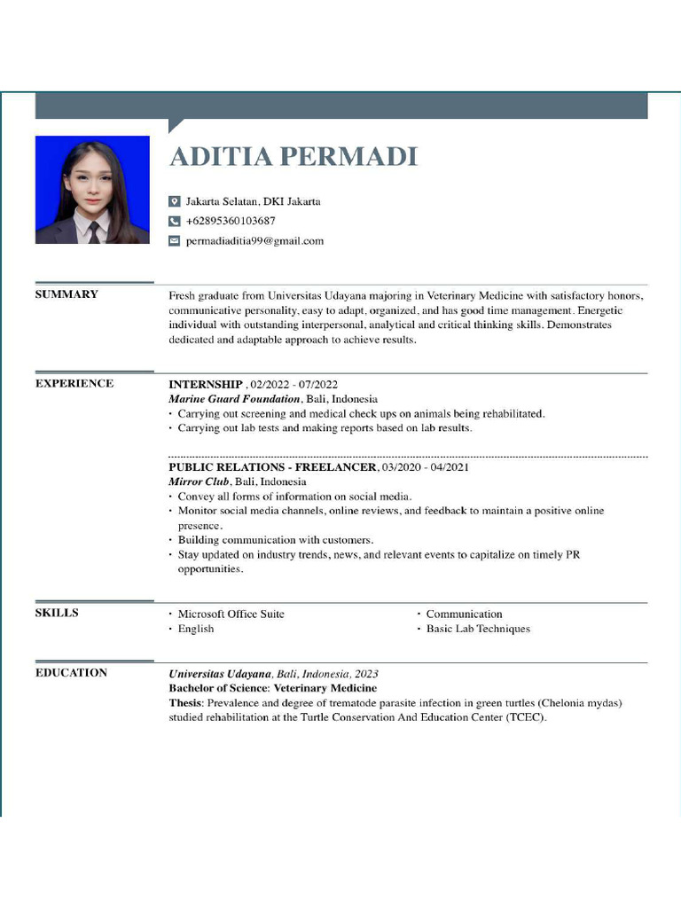 Aditia - Resume | PDF