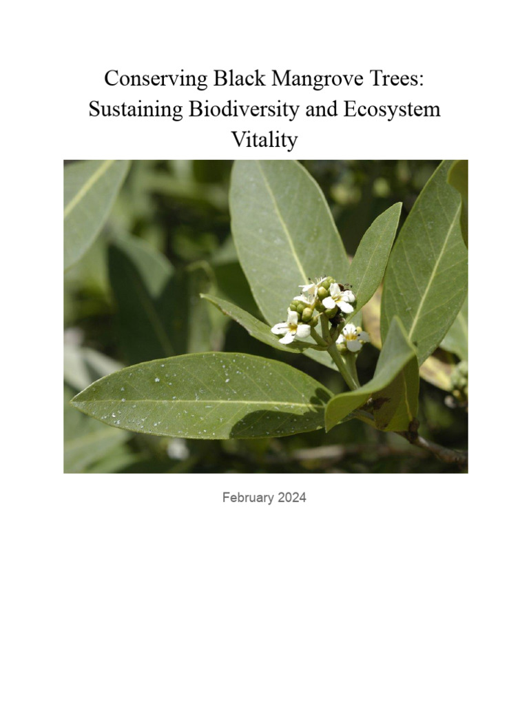 Conserving Black Mangrove Trees - Sustaining Biodiversity and Ecosystem Vitality | PDF ...