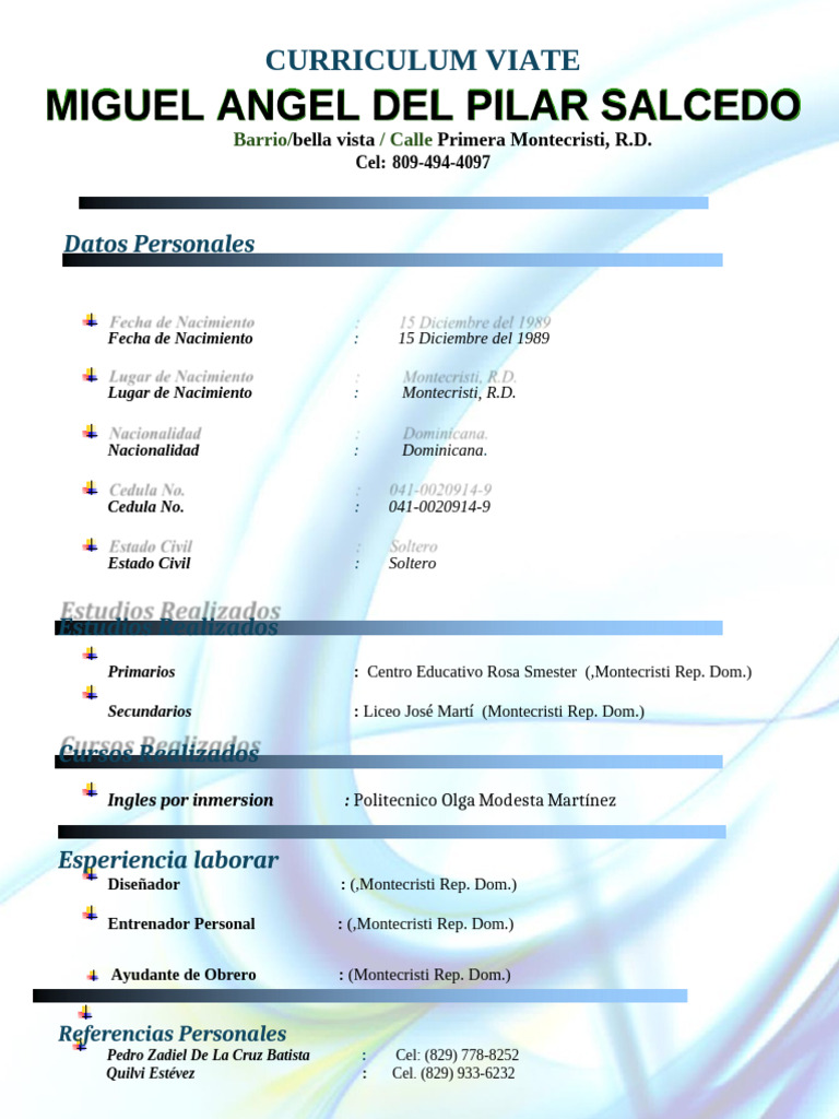 Curriculum Viate Miguel Angel | PDF
