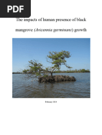 UU200 Group Report | PDF | Mangrove | Coral Reef
