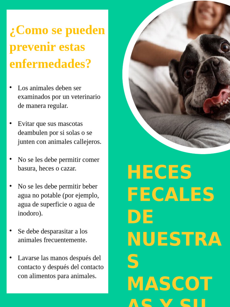 Heces | PDF | Heces | Infección