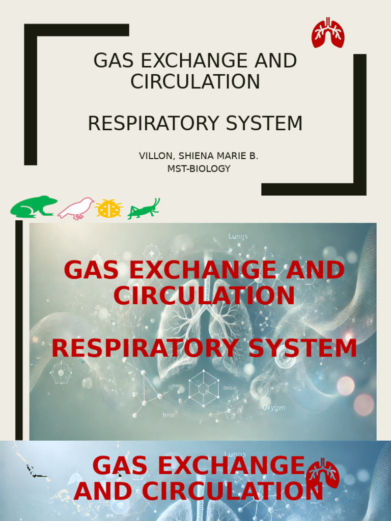 Gas Exchange and Circulation | PDF | Respiratory System | Gill