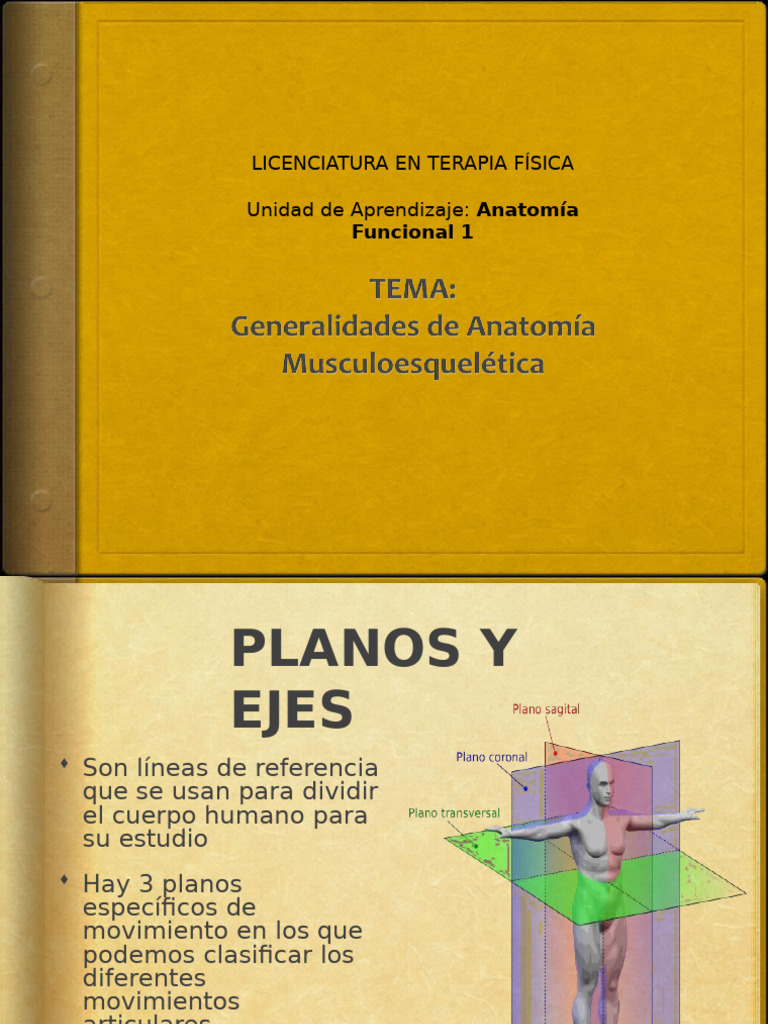 Anatomia Primera Presentacion | PDF | Articulación | Sistema musculoesquelético