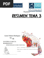 Técnica Mento-Naso-Placa en Radiología | PDF | Cabeza y cuello humanos ...
