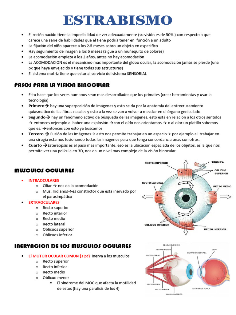 ESTRABISMO | PDF | Percepción visual | Ojo