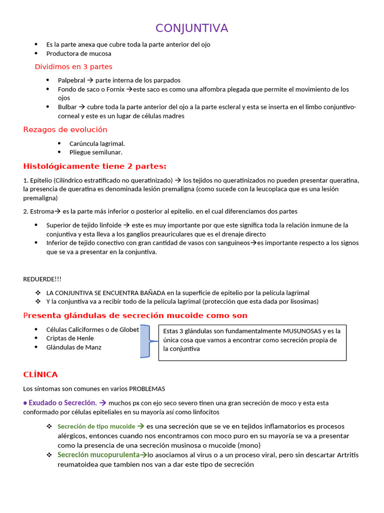 CONJUNTIVA | PDF | Epitelio | Alergia
