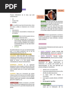 Fases Neurologicas de La Hipoglucemia | PDF