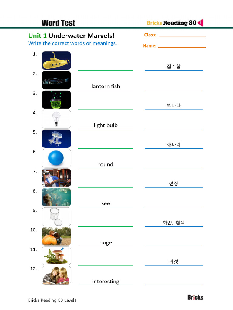 Bricks Reading 80 - L1 - Word Test | PDF