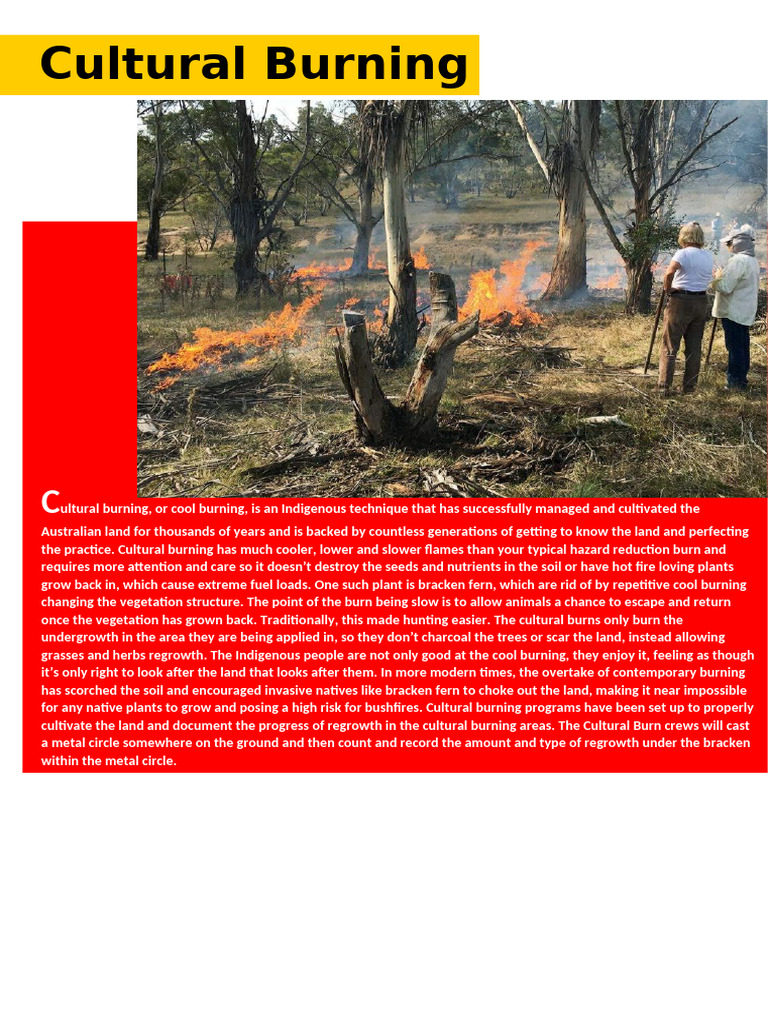 Indigenous Cultural Burning Techniques | PDF | Wildfire | Natural ...
