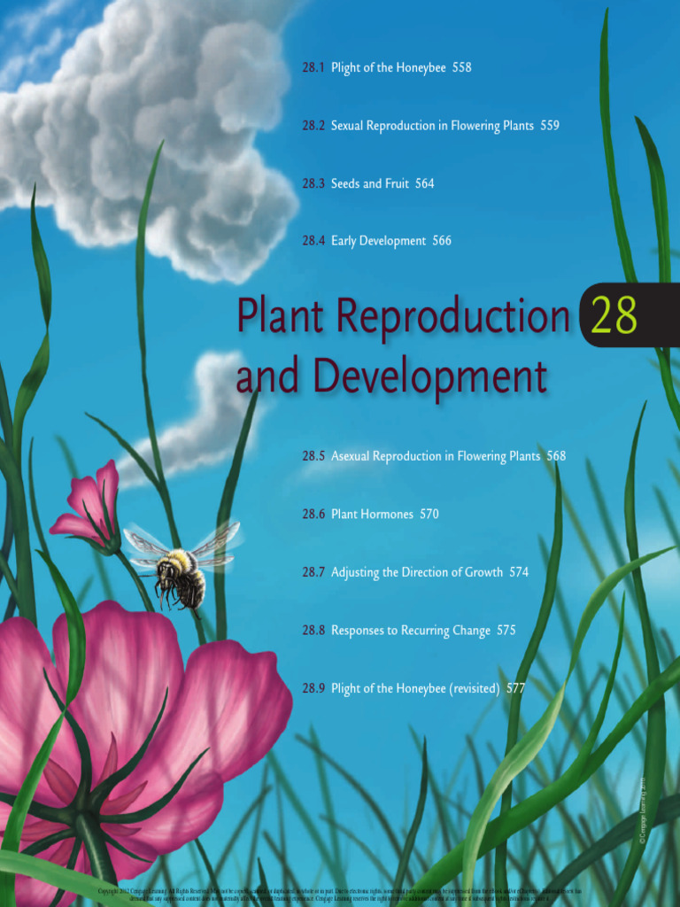 Plant Reproduction An Development Book | PDF | Flowers | Pollination