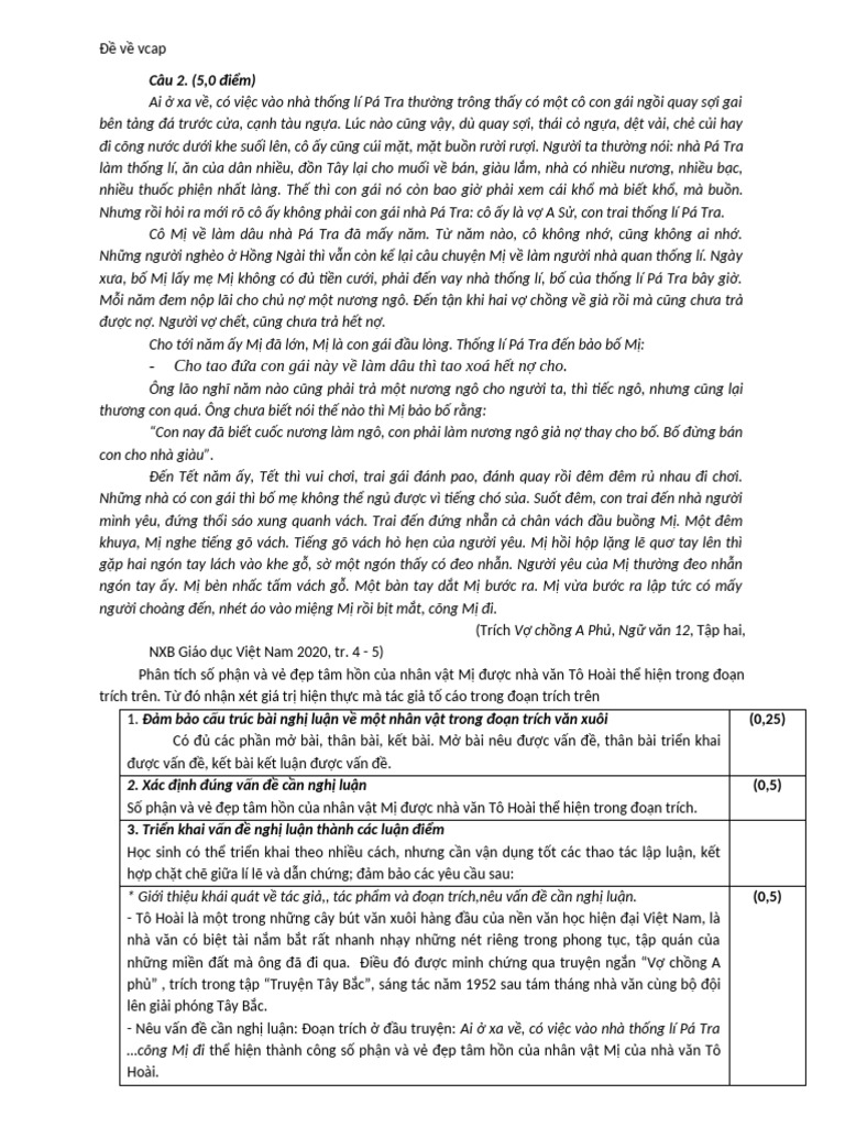 Đề về vcap 1 | PDF