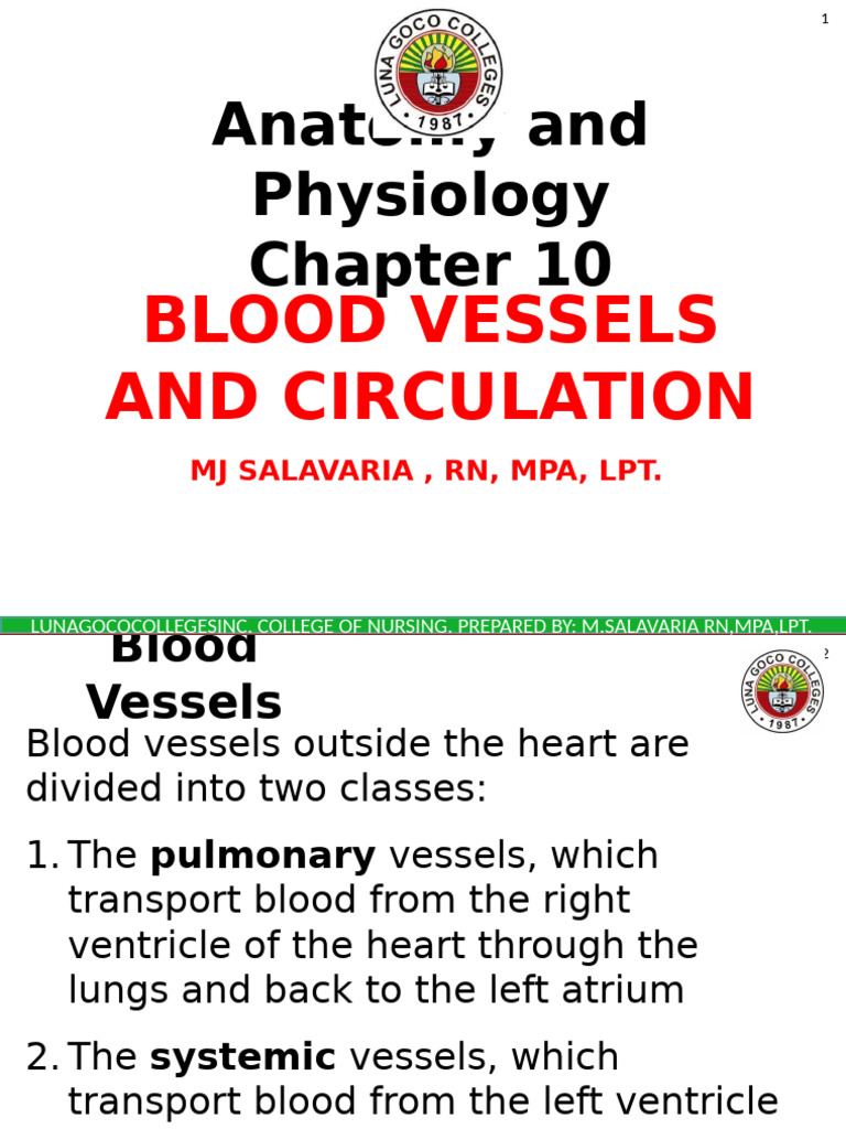 Blood Vessels and Circulation Overview | PDF | Aorta | Vein