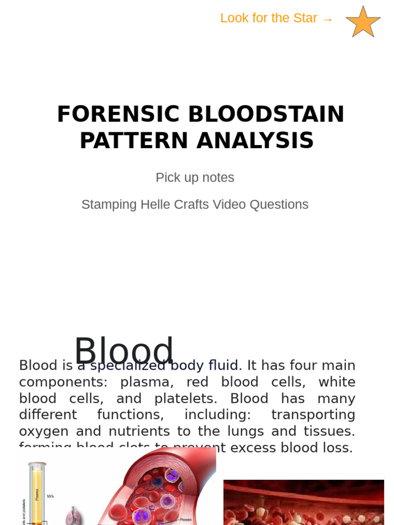 Blood Spatter | PDF | Blood | Tissue (Biology)